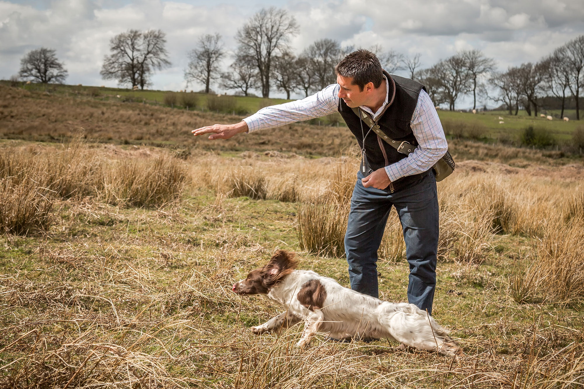 Gallery - Breckmarsh Gundogs UK